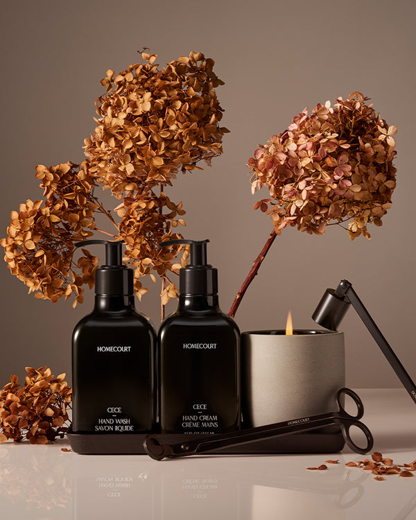 Homecourt | The Beauty of Homecare